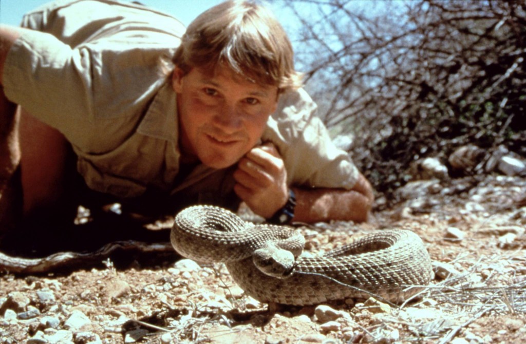 A Life Well Lived – The Extraordinary World of Steve Irwin - Hooked On ...