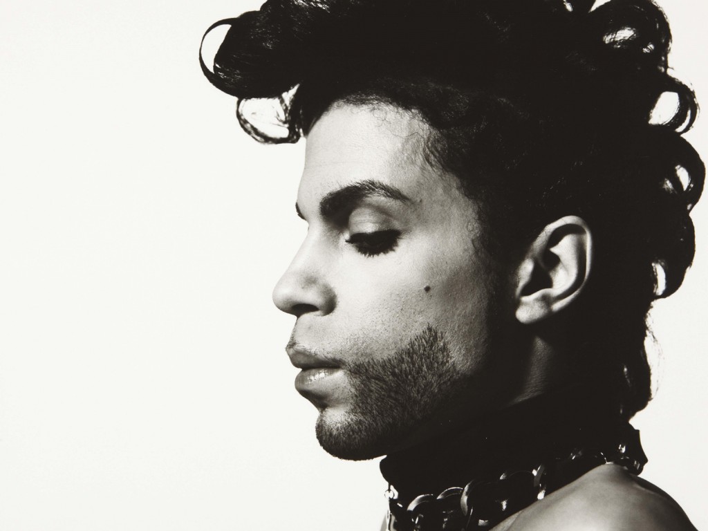 Prince Through the Ages - Hooked On Everything